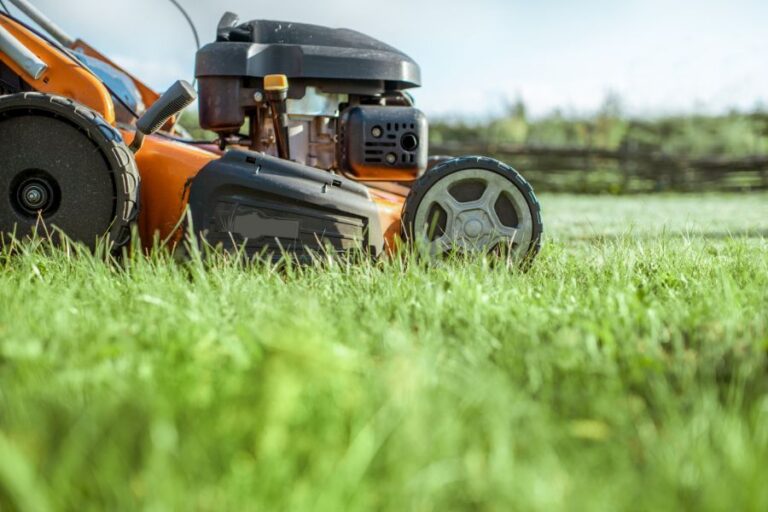What to Do When a Lawn Mower Acts Like It Is Running Out of Gas ...
